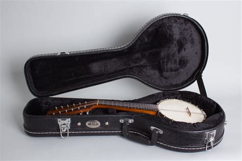 Image result for 12 String Mandolin