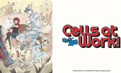 Image result for Cells at Work Net TV