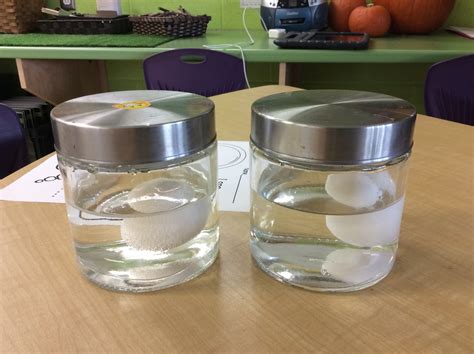 Image result for Science Letter E