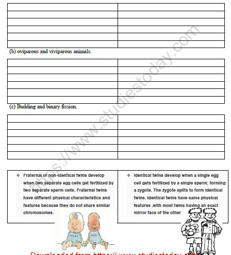 Image result for Reproduction in Animals Science Class 8 Worksheet