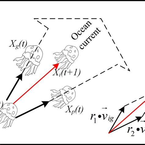 Image result for Ocean Currents Science
