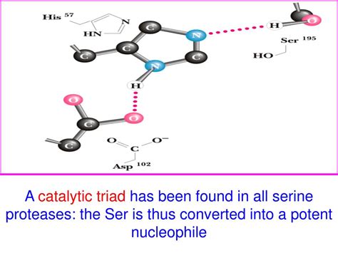 Image result for Substrate Reactions