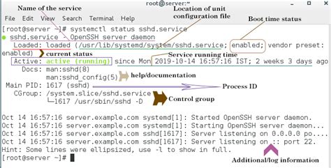 Image result for Imperva Dsf Systemctl Status Command Line