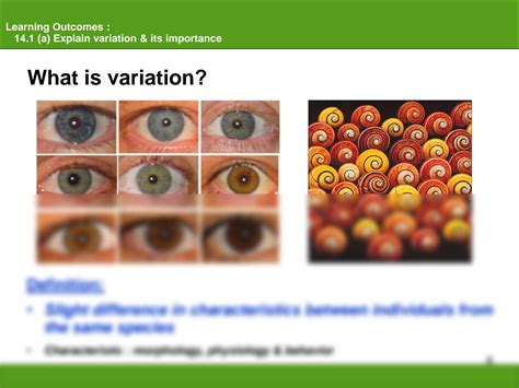 Image result for Variation Types