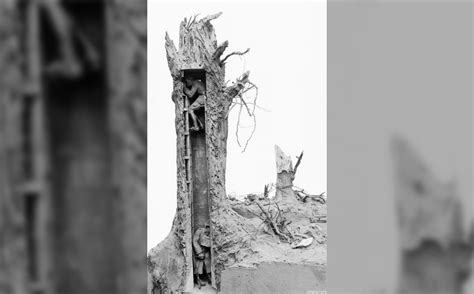 Image result for Fake Tree Observation Post