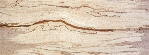 Image result for Split Log Texture