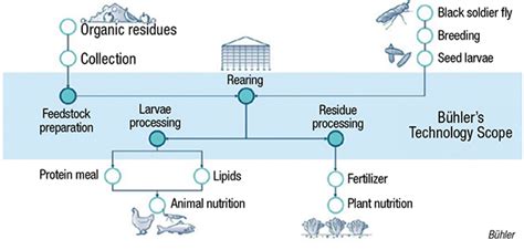 Image result for Insect Production