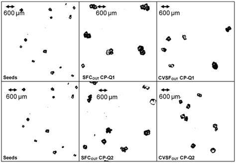 Image result for Continuous Crystallization