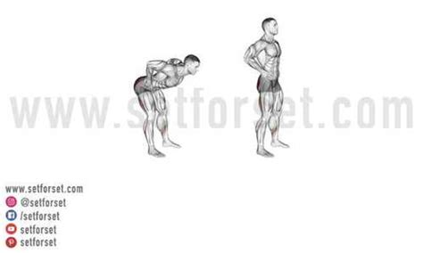 Image result for Hinge Exercise Variations