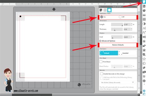 Image result for Cameo Pro Problems