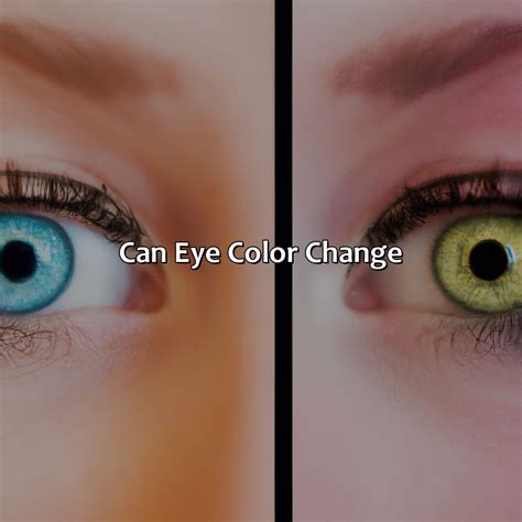 Image result for Eye Color Check