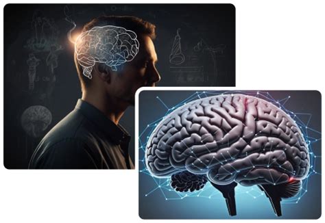 Image result for Cognitive Function