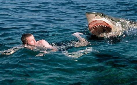 Image result for Alien Shark Attack