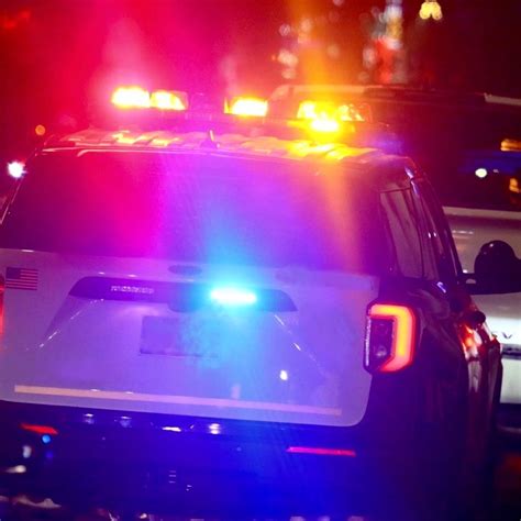 Image result for Alien Head Found