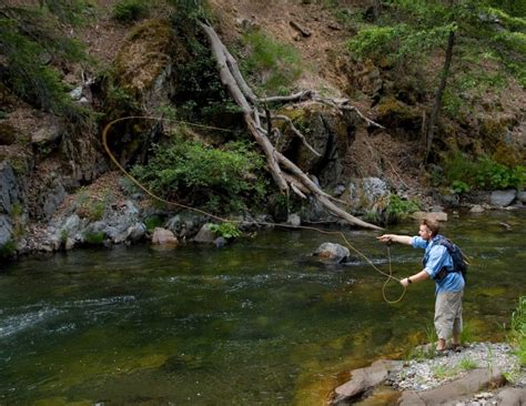 Image result for Fly Cast Tailing Loop