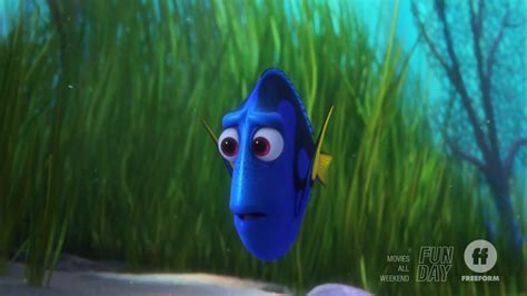 Image result for Freeform Intro Finding Nemo