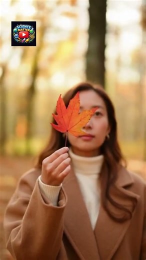 Why Do Leaves Change Color in Fall? #science #leaves #autumn