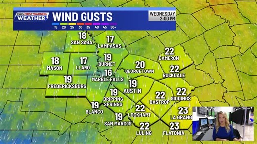 Cedar count jumps in the wake of yesterday's cold front -- a look at updated pollen numbers today's forecast - Meteorologist Kristen Currie | KXAN News