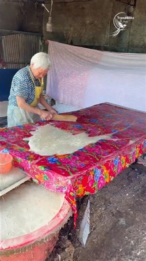 Premium Breathable Cloth Shoes for Everyday Comfort | Odor-Free, Lightweight Fit