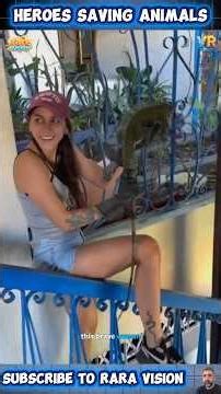 Heroes Saving Animals in Real-Life Rescues 🐾 | Part 22 ❤️