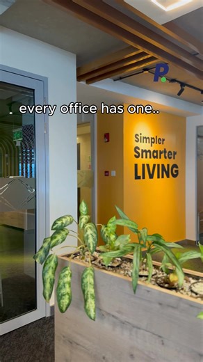 Embracing Positivity at Work: No Monday Blues!