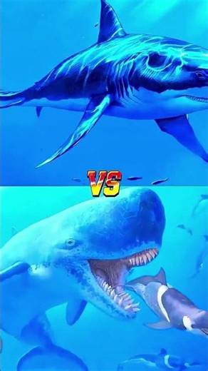 🔥👹sea eater vs bloop-megalodon-livyatan-basilosaurus-blue whale-basking shark #shorts​ #viral​