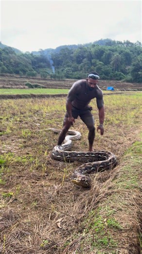 Worlds longest snake 🤯🐍 | Mike Holston