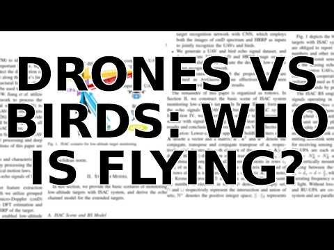 Drones or Birds? How AI and 6G Solve the Urban Radar Problem