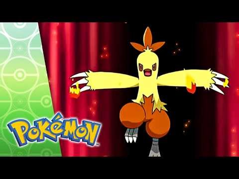 Lessons in Lilycove | POKÉMON FULL EPISODE 51 | Season 7