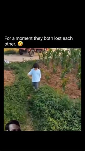 Pop, Celebs & Steamers on Instagram: "🤣 The dog is one of the earliest animals domesticated by humans, with origins tracing back tens of thousands of years to wolves that gradually adapted to living alongside people. Over time, selective breeding shaped dogs into a wide range of sizes, appearances, and abilities, allowing them to serve roles such as hunting partners, guardians, herders, and companions. Their main significance lies in their strong social intelligence, loyalty, and ability to com