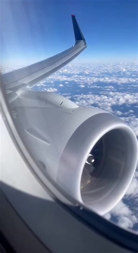 Delta Flight Emergency Engine Cowling Failure Captured From Passenger Window Seat View ------------ ----------- ------------- This intense footage captures the terrifying moment a Delta Airbus experienced a catastrophic engine failure mid-flight. Filmed from a passenger's smartphone at a window seat, the clip begins with a deceptively calm view of the wing over a sea of clouds. Without warning, a metallic clank disrupts the steady hum of the jet, followed by violent vibrations that shake the ent