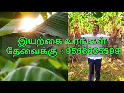 Title 5 முறை மருந்து அடித்தும் பலன் இல்லையா? ❌ ரூ.500-ல் சருகு நோய்க்கு நிரந்தர தீர்வு! ✅