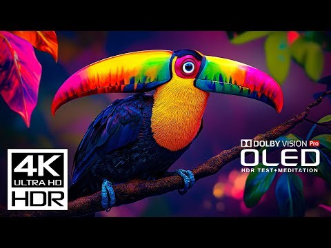 UNSEEN 4K HDR Video ULTRA HD 240FPS | Dolby Vision