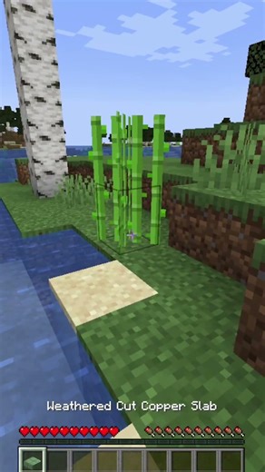 Minecraft, But Every Drop Is RANDOM #minecraft #shorts