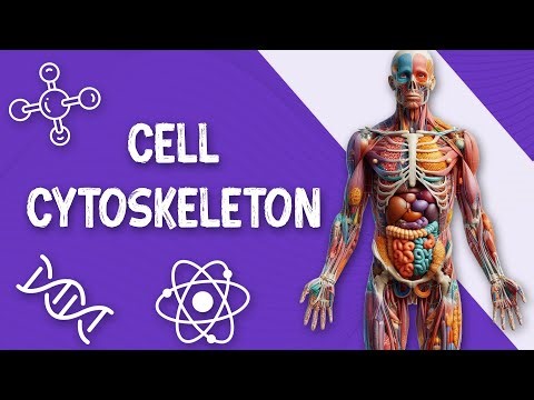 Cell Cytoskeleton