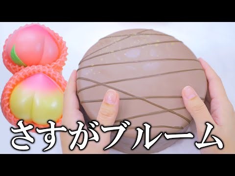 原点であり頂点のブルームスクイーズの訳あり品頼んでみた🍑