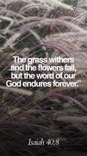 Did you know that God's word is the only thing that remains eternal here on earth? This should bring us great hope that He has made a way for us to spend eternity with Him. Focus your eyes upon heaven today! #faith #hope #love #Jesus | Hope with God