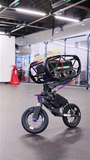 A Sideways Driving Robot Executing Incredible Flips