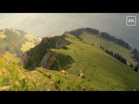 Seasons of Switzerland | Relaxing Cinematic Drone Film