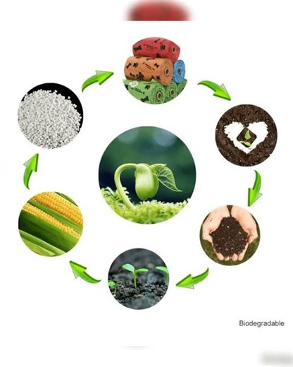 Pet Poop Waste Bag Biodegradable Compostable