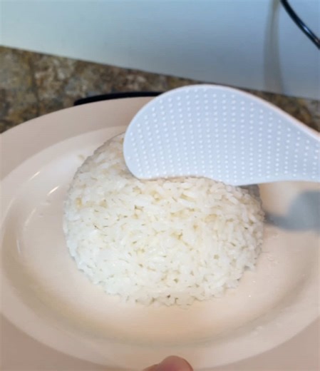 Best Rice Cooker Comparison: Zojirushi vs. Instant Pot & More