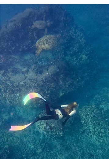 Hi 👋 #greenseaturtle #freediving #freediver #underwater