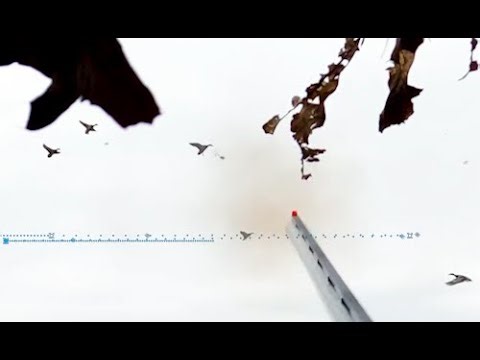 Fight breaks out after Kid picks on the Slock Master