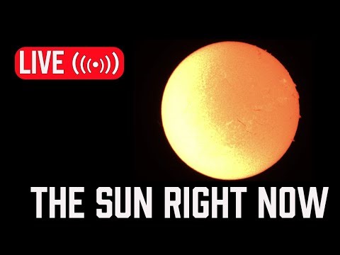 LIVE: The Sun Right Now ☀️ | Backyard Solar Imaging (Real-Time)