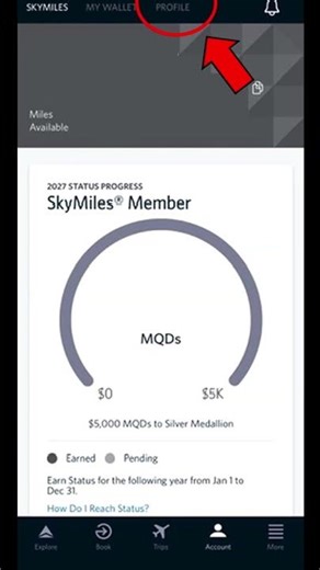 ✅ TSA PreCheck Touchless ID - Delta Air Lines