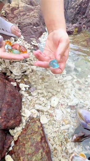 Sea Agate and Sea Crystal: Finding Hidden Treasures on the Shore and rare pearl