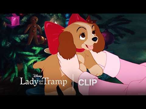 Christmas Day Surprise | Lady and The Tramp | Official Clip