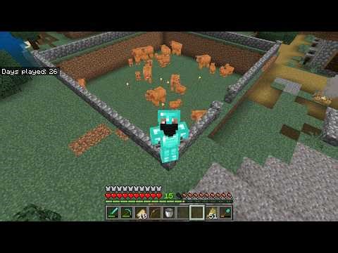 The Cow pit EXPANDS!