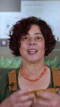 Harvard Yard Archaeology Project celebrates 20th anniversary