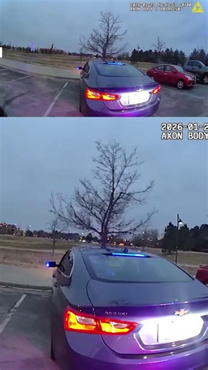 Authorities say the man was pulled over for erratic driving, smelled of alcohol, and was later charged with DUI, reckless driving, and three counts of child abuse. | New York Post